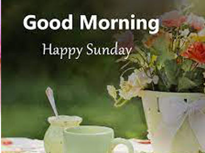 Flower beautiful message good morning - Fotos de amor & Imagenes de amor