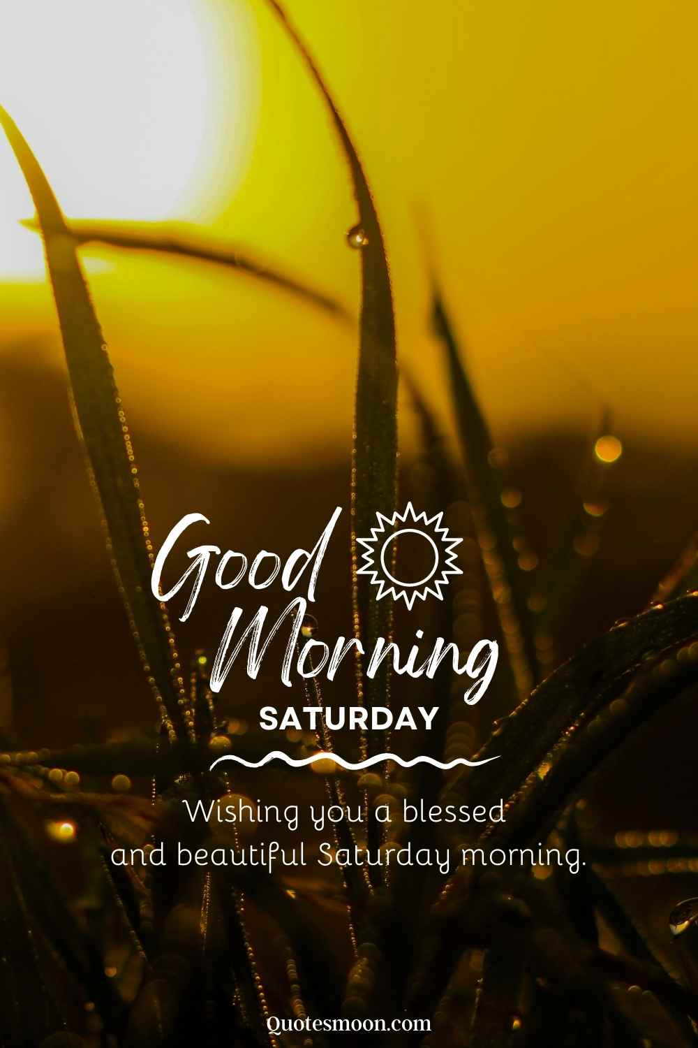 Good morning saturday blessings - Fotos de amor & Imagenes de amor
