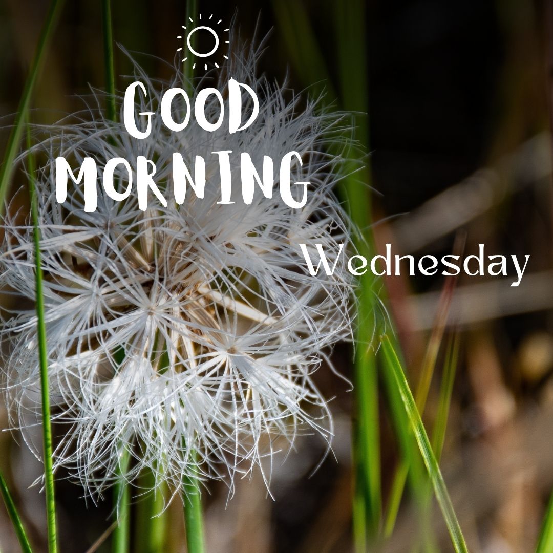 Good morning Wednesday - Fotos de amor & Imagenes de amor
